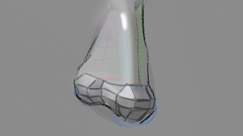 Proko - The Nose Analysis