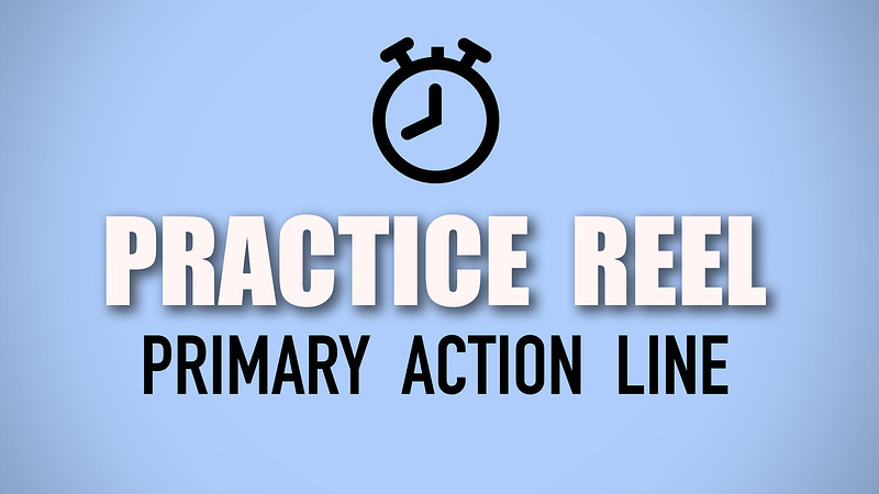 Proko - The Primary Action Line - Practice Reel