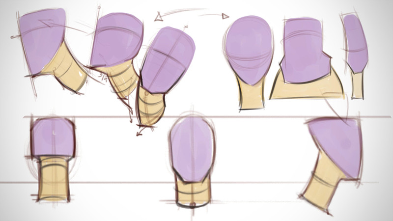 Proko - The Shape Method - Head and Neck