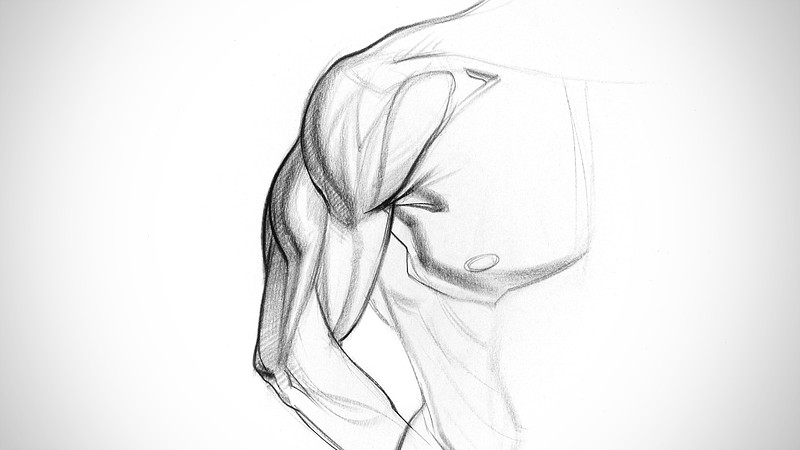 Proko - Triceps Assignment Example 2