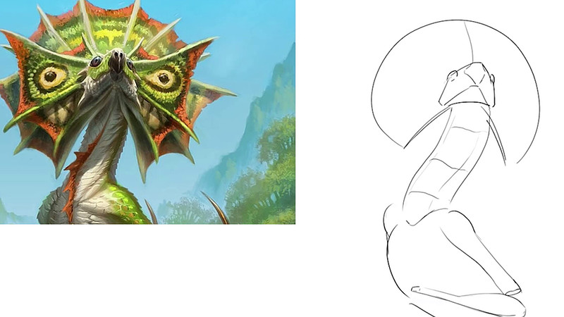 Proko - Understanding Creature Anatomy