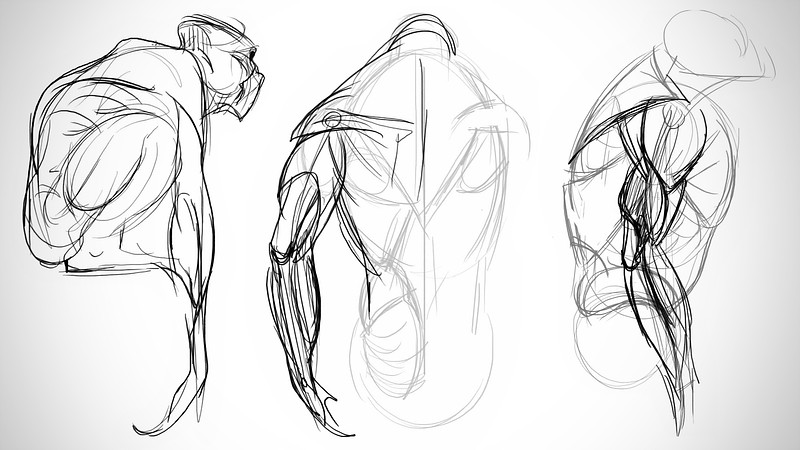 Proko - The Ape Muscles