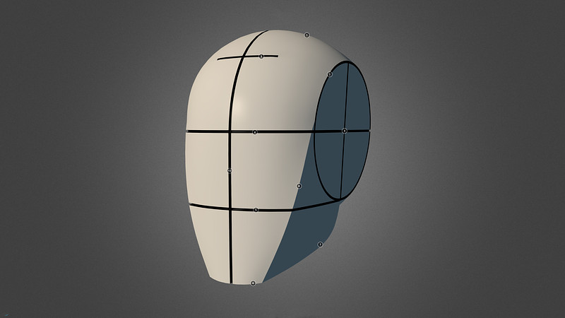 Proko - 3D Model: The Loomis Head