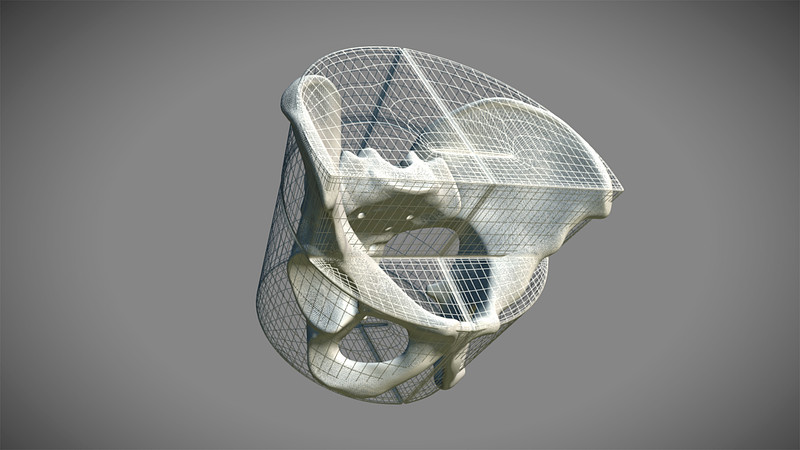 Proko - 3D Model: Wireframe Bucket with Pelvis