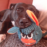 Proko - Project - Simplify from Observation