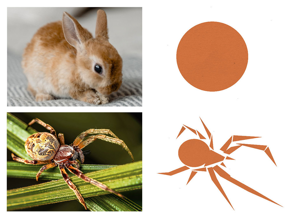 Proko - 7 Ways Simple Shapes Can Improve Your Drawings