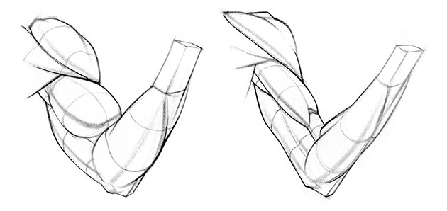 Proko - Drawing Muscles: What You Need to Know