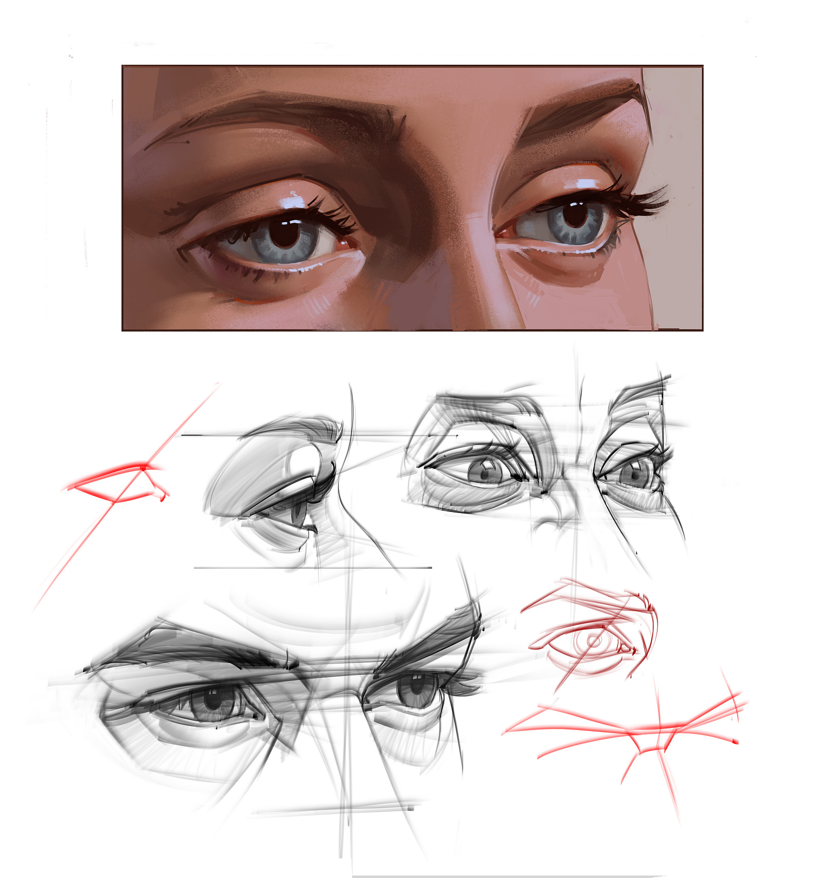 Proko - Painting the Head with Confidence: A Portrait Artist’s Toolkit