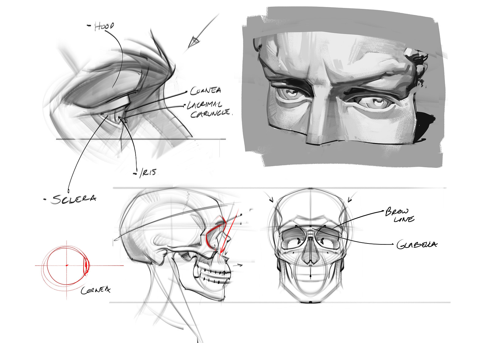 Proko - Painting the Head with Confidence: A Portrait Artist’s Toolkit