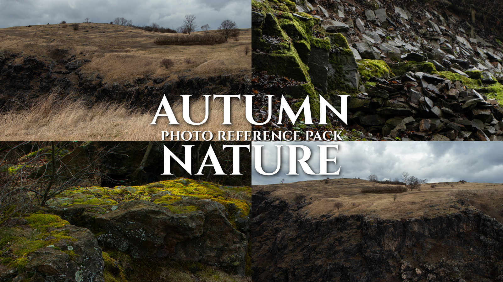 Proko - Autumn Nature- Photo Reference Pack