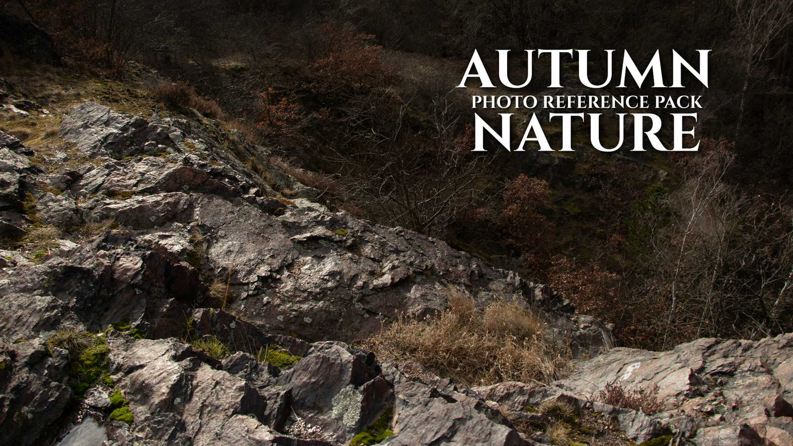 Proko - Autumn Nature- Photo Reference Pack