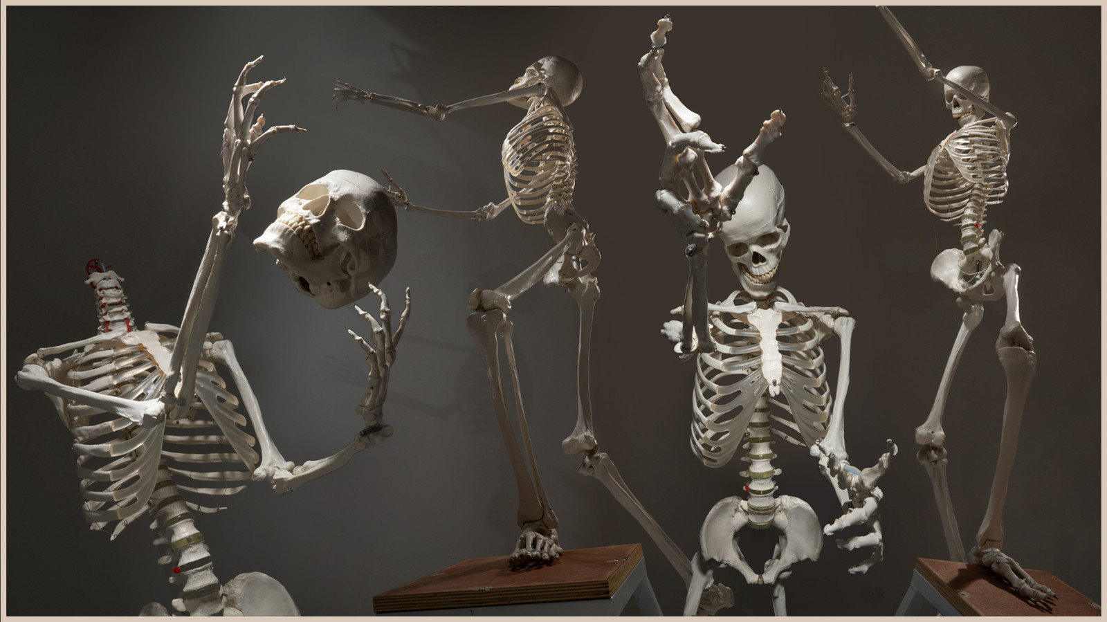 Proko - Skeleton-Photo Reference Pack For Artists 648 JPEGs
