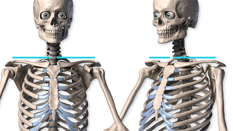 Proko - Anatomy of the Shoulder Bones