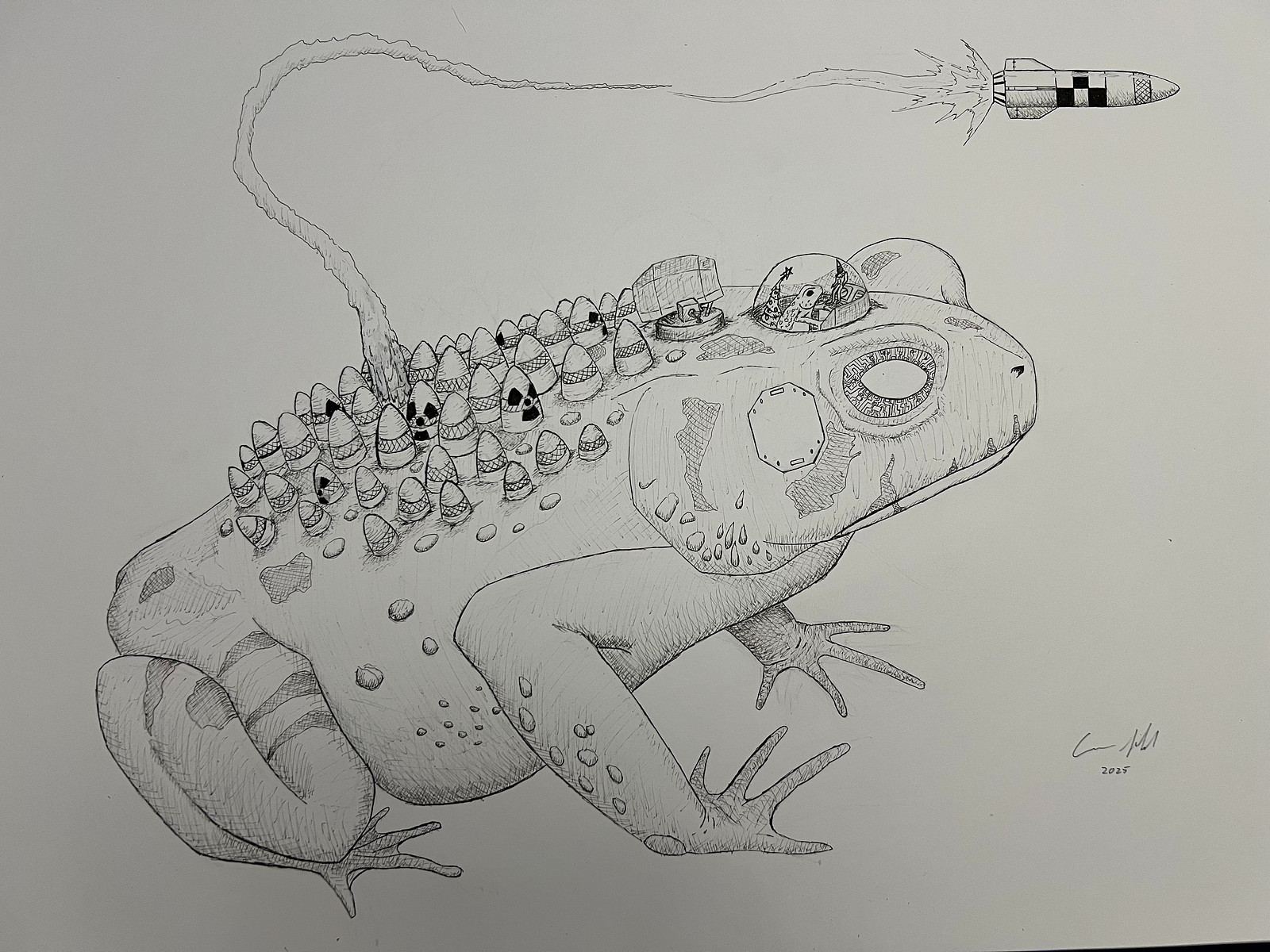 Proko - Missile Toad Contest Critique