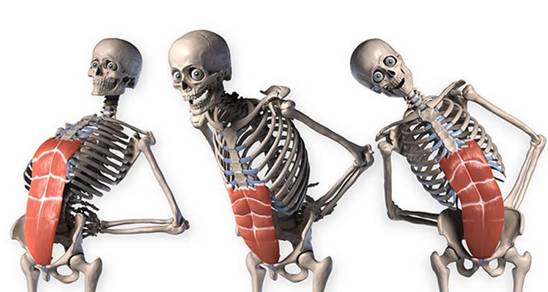 Proko - How to Draw Abs – Form and Motion