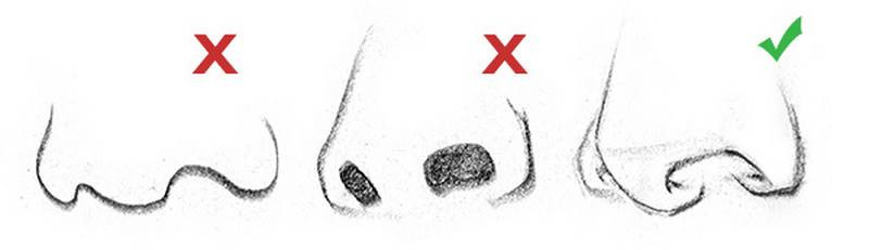 Proko - How to Draw a Nose – Anatomy and Structure