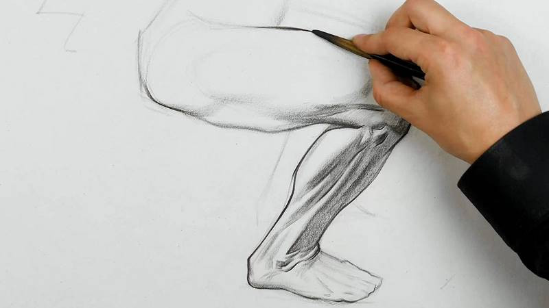Proko - How to Draw the Lower Leg – Anatomy for Artists