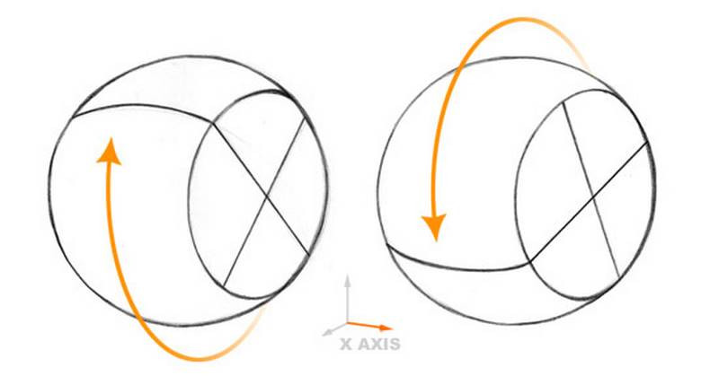 Proko - How to Draw the Head from Any Angle
