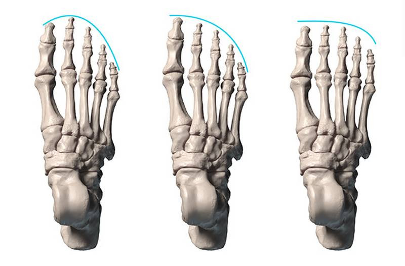 Proko - How to Draw Feet with Structure – Foot Bone Anatomy