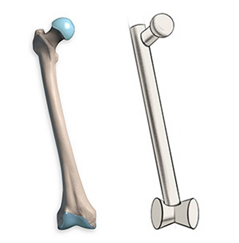 Proko - How to Draw Legs – Bone Anatomy for Artists