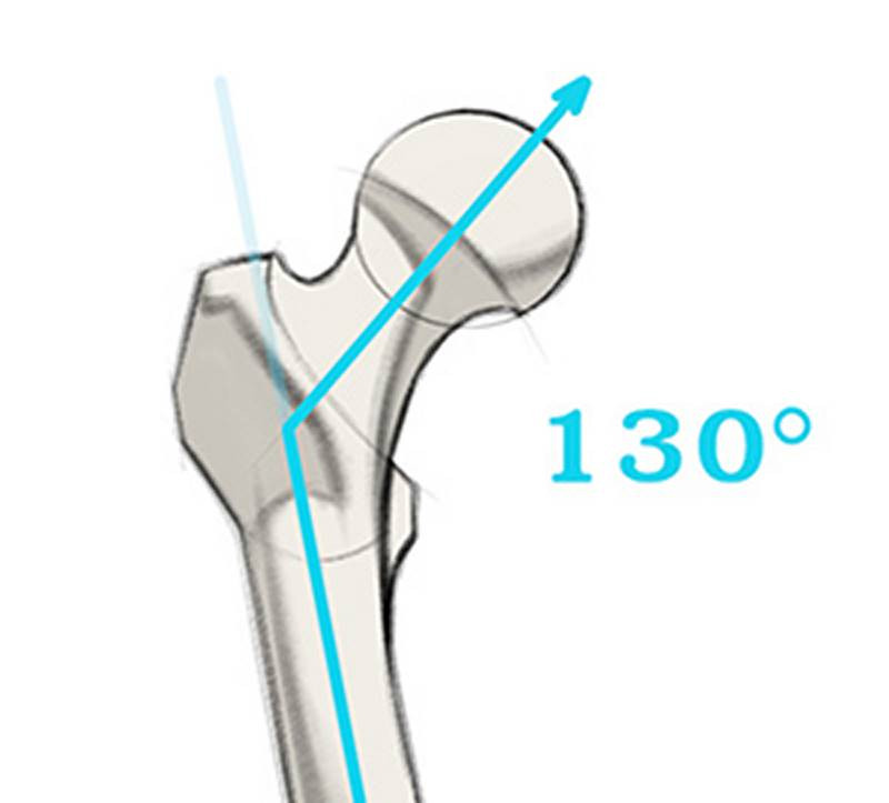 Proko - How to Draw Legs – Bone Anatomy for Artists
