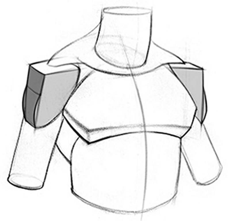 Proko - How to Draw Deltoids – Anatomy for Artists