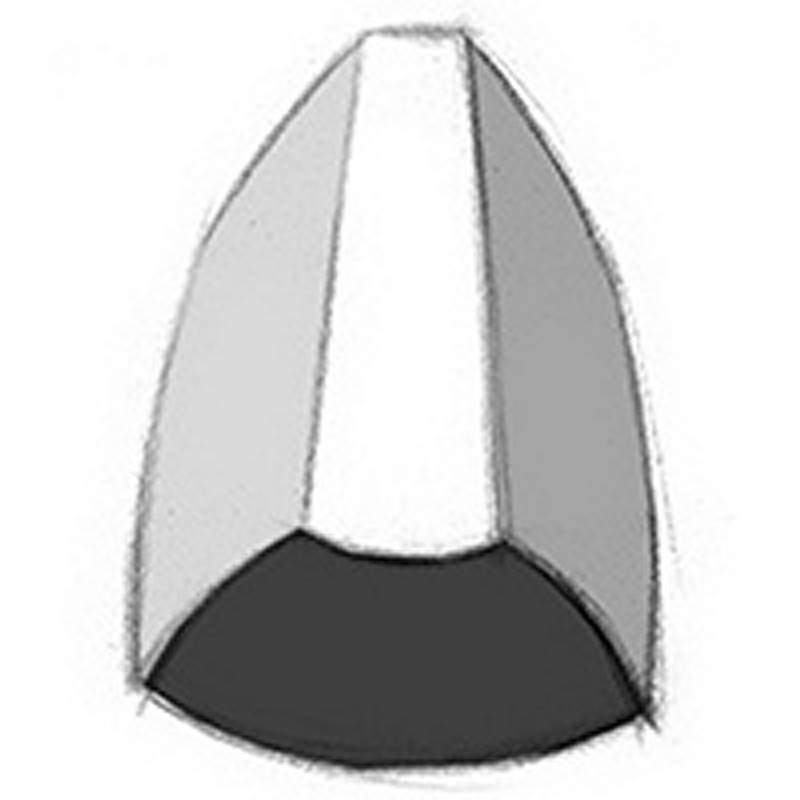 Proko - How to Draw a Nose – Step by Step