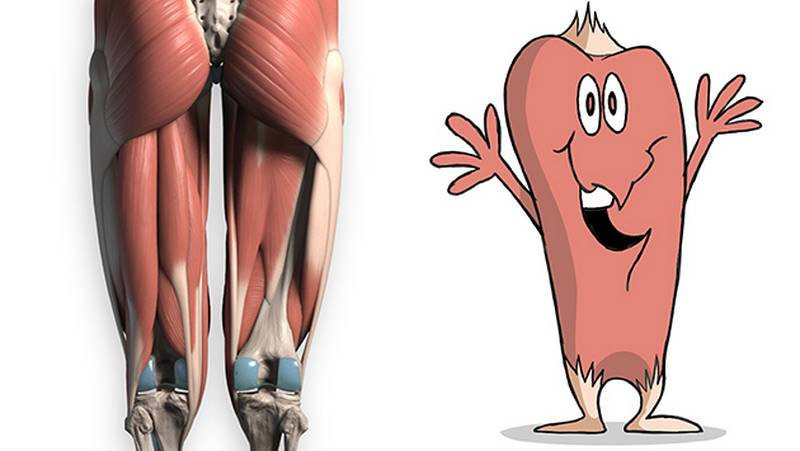 Proko - 8 Minutes to Better Leg Drawings – Hamstring Muscles