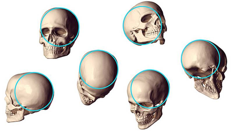 Proko - Human Proportions – Cranial Units
