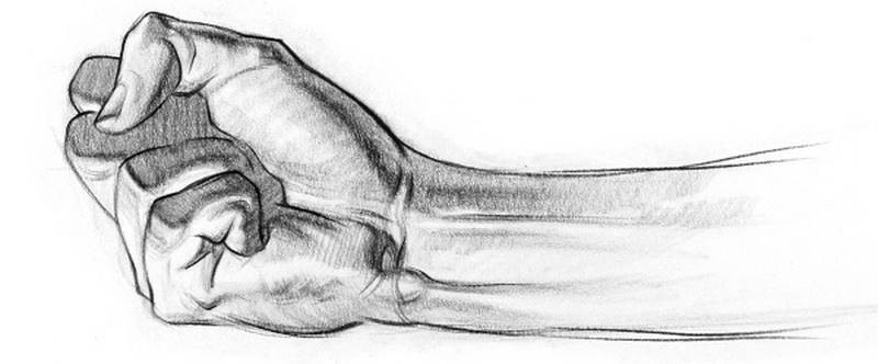 Proko - How to Draw Hands – Muscle Anatomy of the Hand