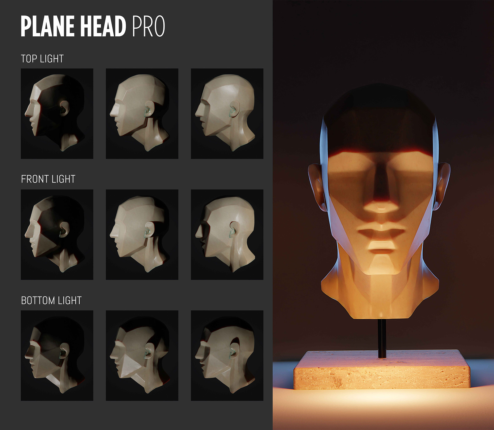 Proko - Plane Head Pro Bundle: Model + Booklet + Cheat Sheets
