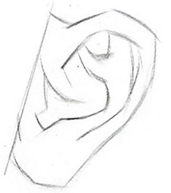 Proko - How to Draw Ears – Step by Step