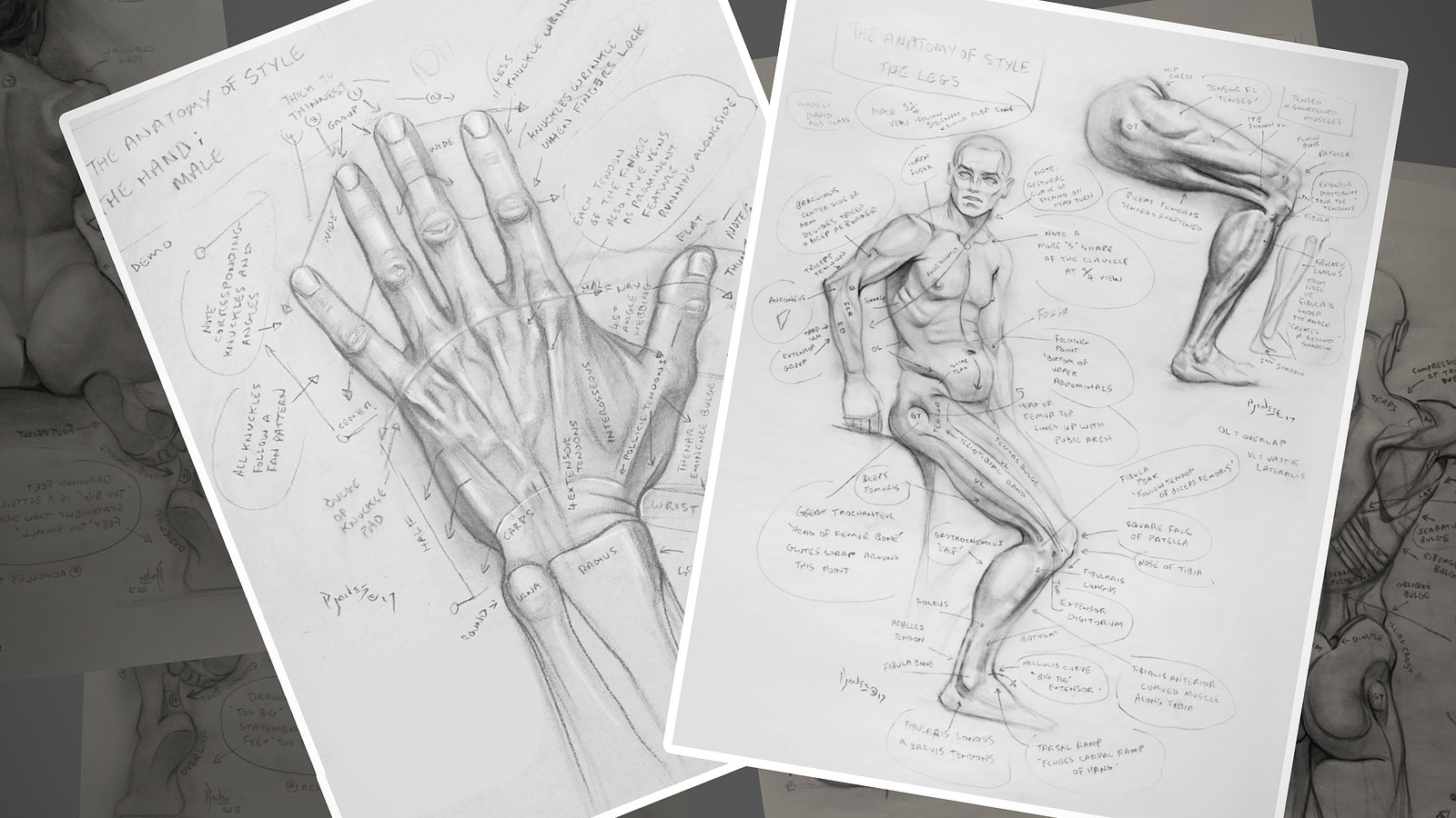 Proko - The Collected Anatomy of Style Studysheets