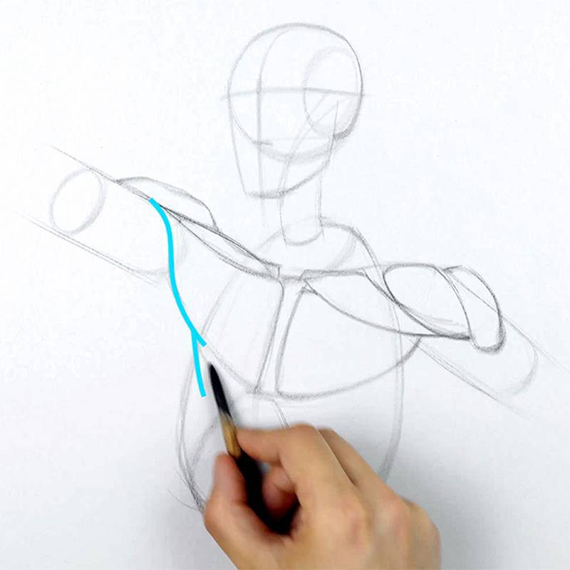 Proko - How to Draw Pecs – Form