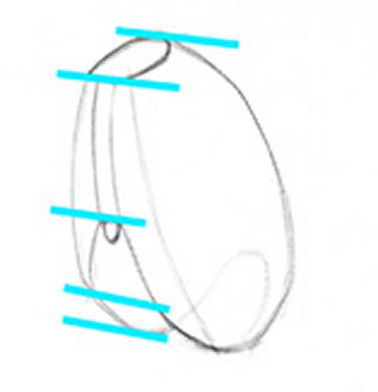 Proko - How to Draw the Rib Cage