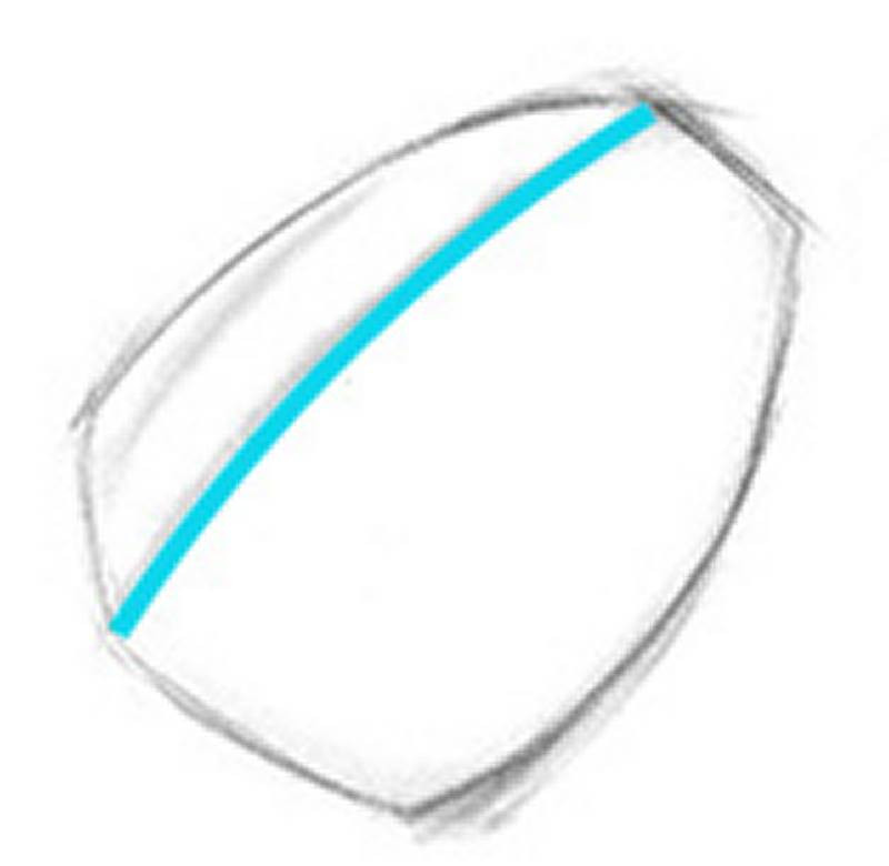 Proko - How to Draw the Rib Cage