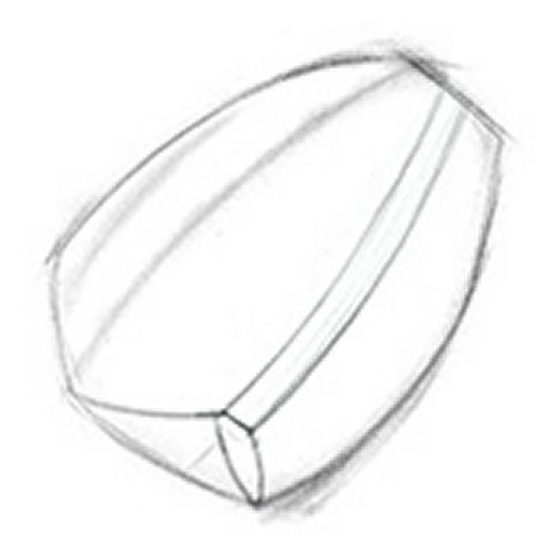 Proko - How to Draw the Rib Cage