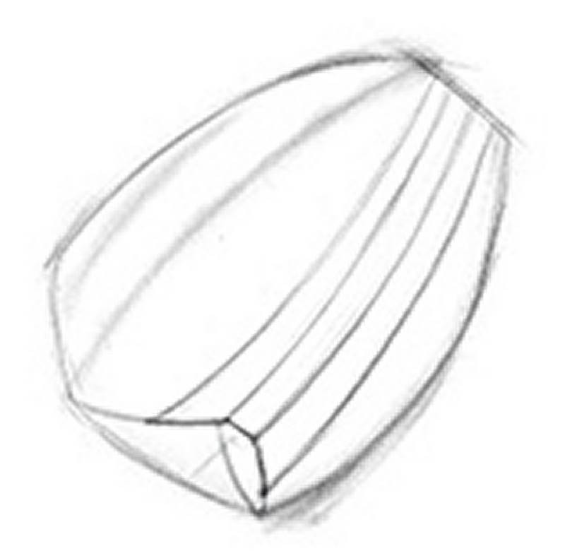 Proko - How to Draw the Rib Cage