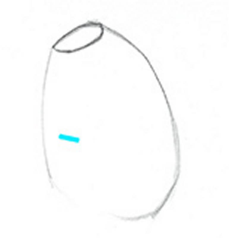 Proko - How to Draw the Rib Cage