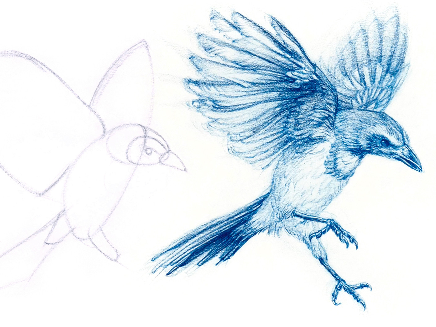 Proko - The Drawing Laboratory