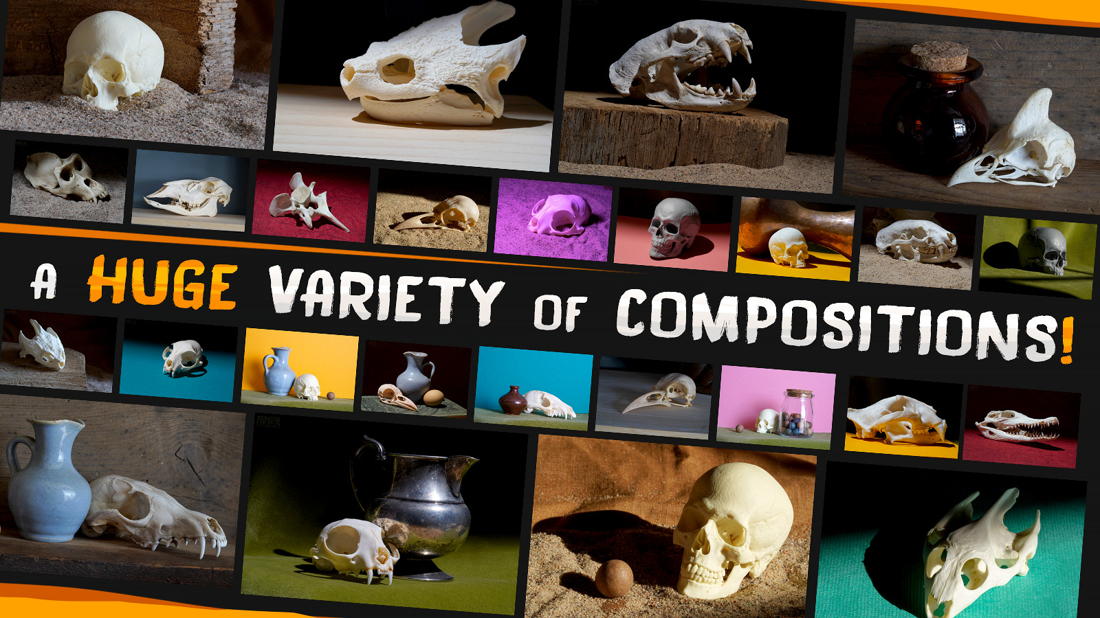 Proko - Lane's Skulls and Bones - Reference Pack