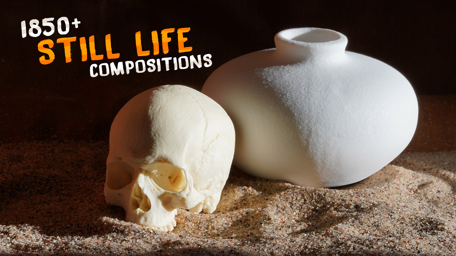 Proko - Lane's Skulls and Bones - Reference Pack