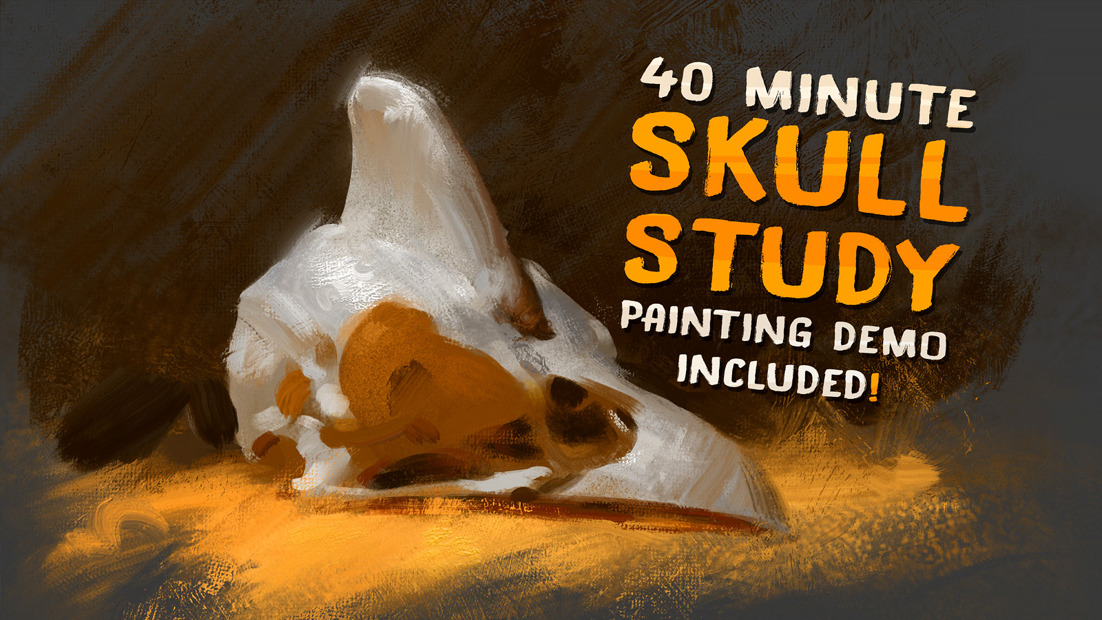 Proko - Lane's Skulls and Bones - Reference Pack