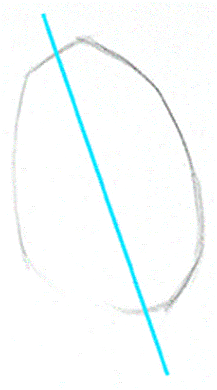 Proko - How to Draw the Rib Cage