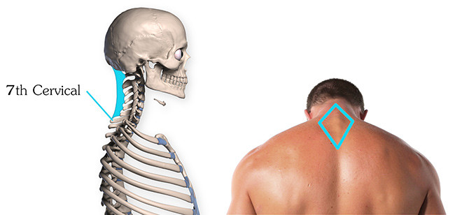 Proko - Anatomy of the Spine