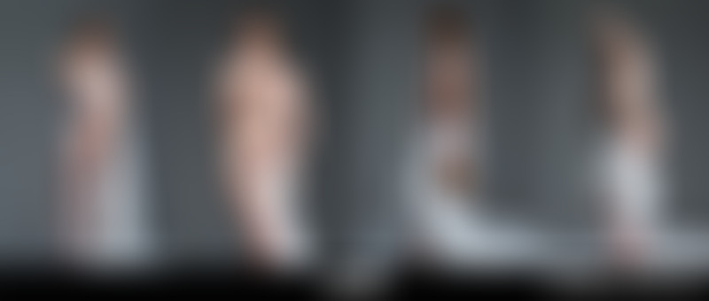 Proko - 800+ Classical Drapery: Lane Brown Painting & Female Poses