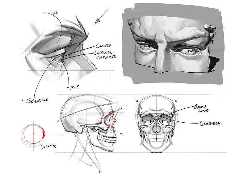 Proko - Painting the Head with Confidence: A Portrait Artist’s Toolkit