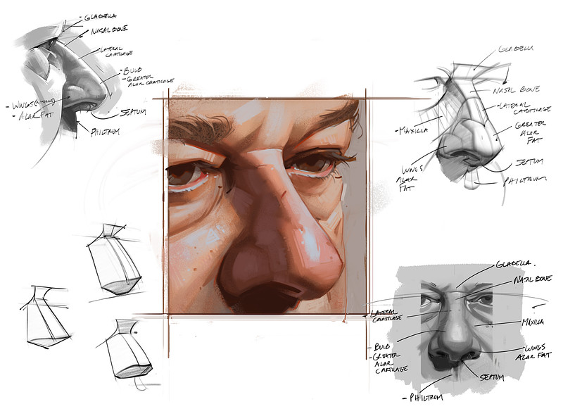 Proko - Painting the Head with Confidence: A Portrait Artist’s Toolkit