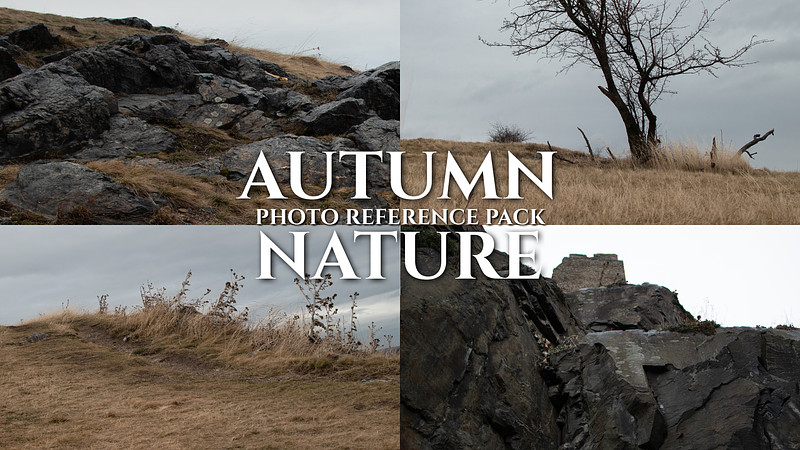 Proko - Autumn Nature- Photo Reference Pack