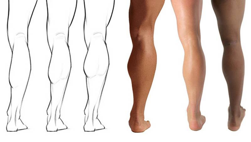 Proko - How to Draw the Calf - Anatomy for Artists